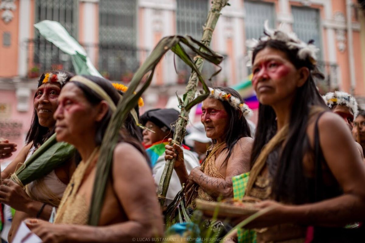 Yurupary, el relato que unificó a los pueblos del Amazonas - Tercera Órbita